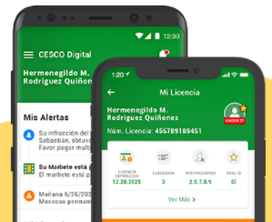 Certificado de Multas de Tránsito ¿Cómo, dónde y cuándo se solicita ...